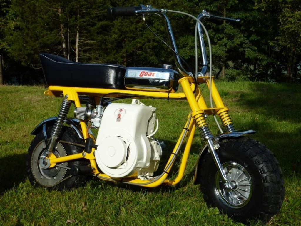What model Rupp Is this? | OldMiniBikes.com